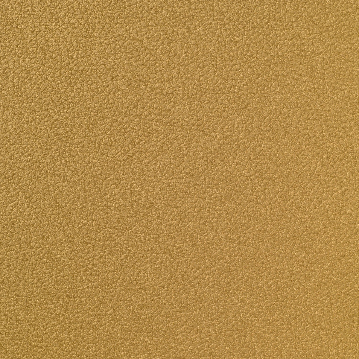 Leone Plus – Kube Contract