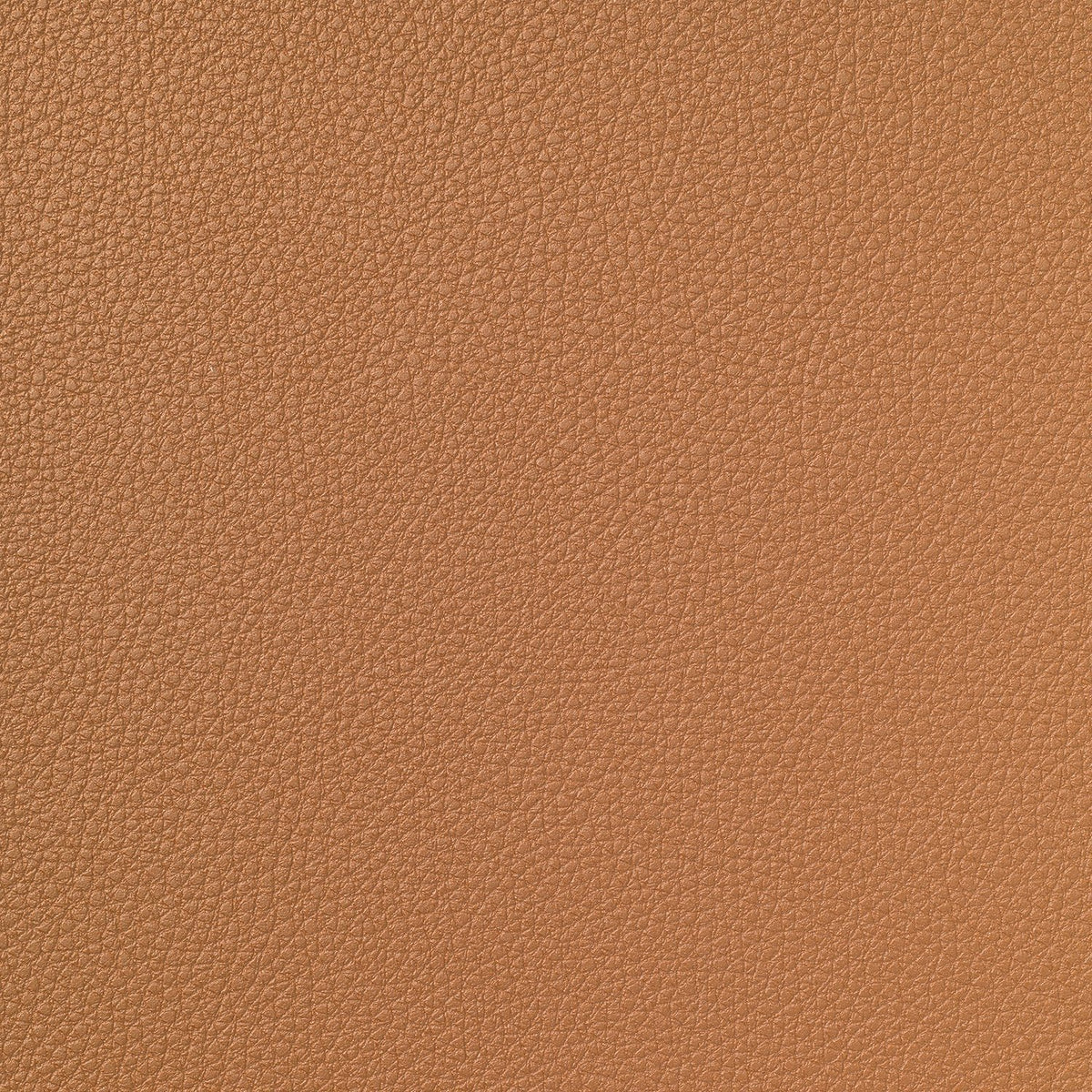 Leone Plus – Kube Contract